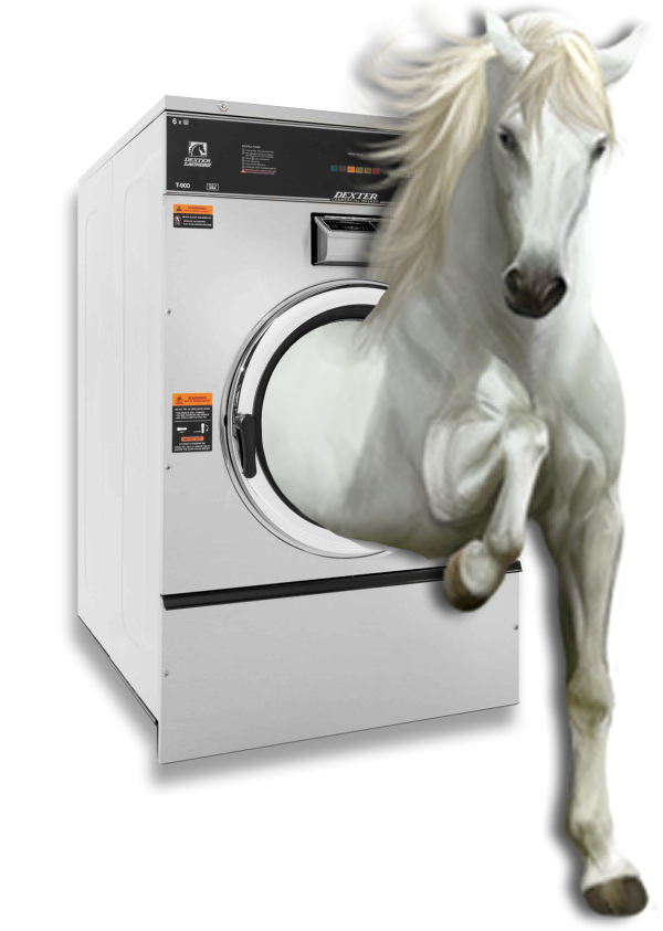 Dexter Laundry México | Dexter Laundry México